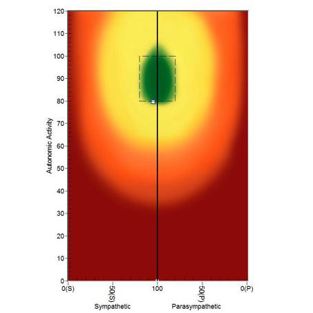 Scanning Technology - Adaptive Chiropractic