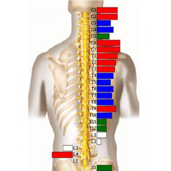 Scanning Technology - Adaptive Chiropractic